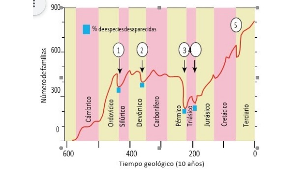 TOMi.digital - EL CAMBIO DE LA POBLACION HUMANA ATRAVEZ DEL TIEMPO