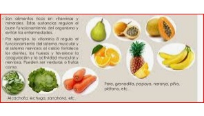 TOMi.digital - ¿Qué contiene los alimentos?