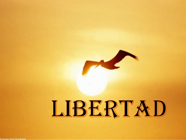 TOMi.digital - LA LIBERTAD - 9 º T