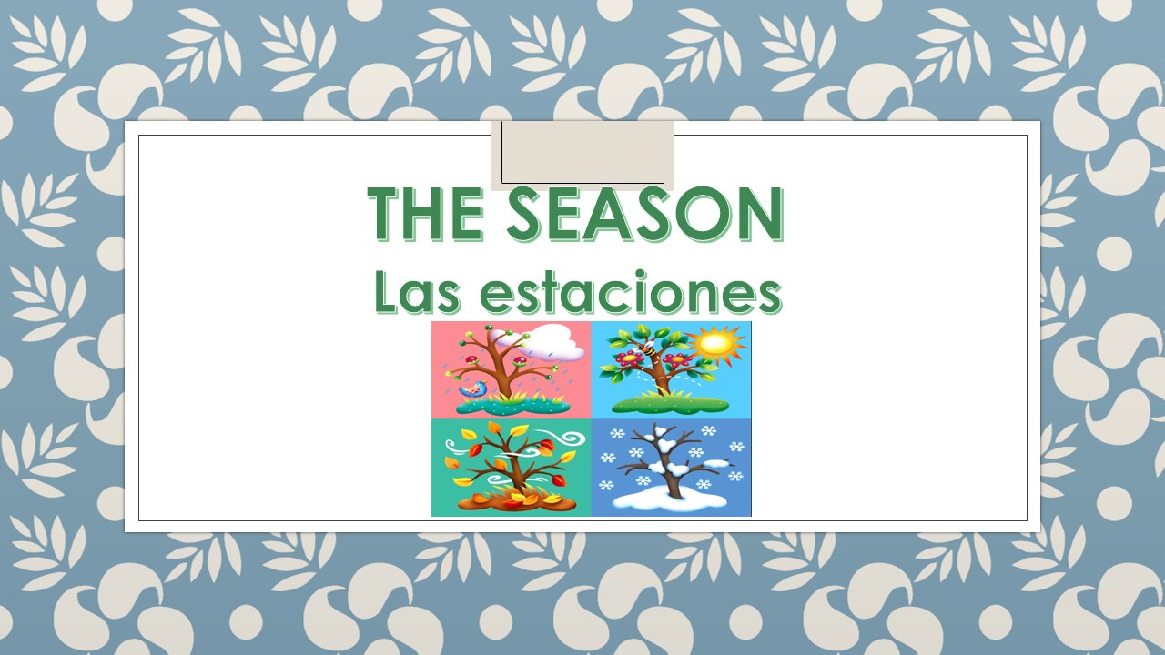 TOMi.digital - THE SEASONS