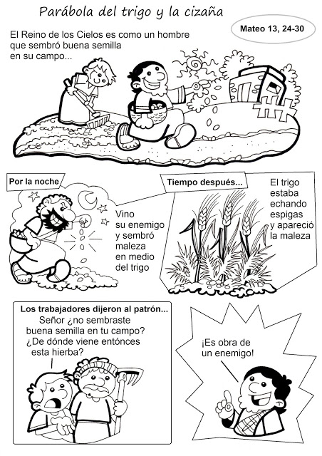 TOMi.digital - Parábola del trigo y la cizaña