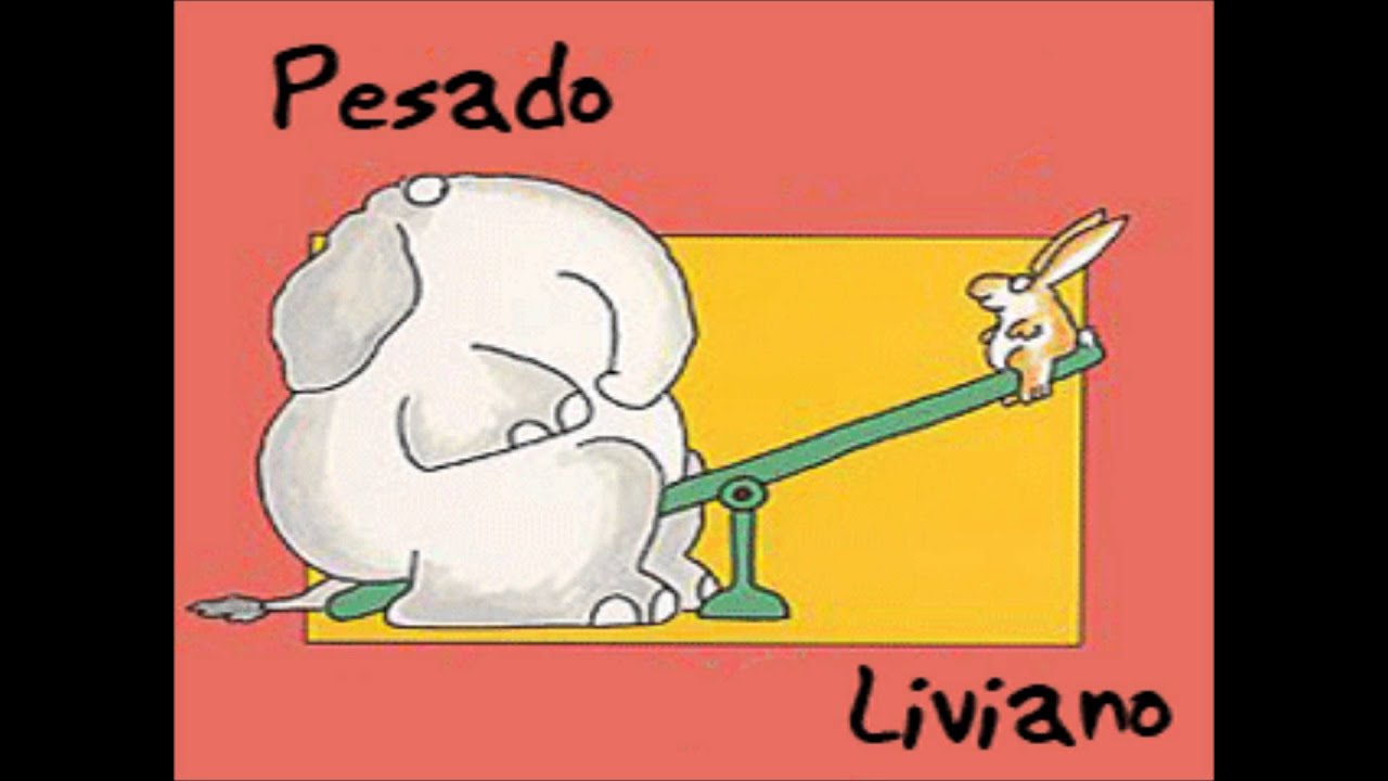 TOMi.digital - Las Medidas De Peso En Los Animales