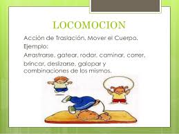 TOMi.digital - Patrones De Locomoción (edu Fca)