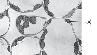 TOMi.digital - LECCIÓN-BIOLOGÍA1 2A