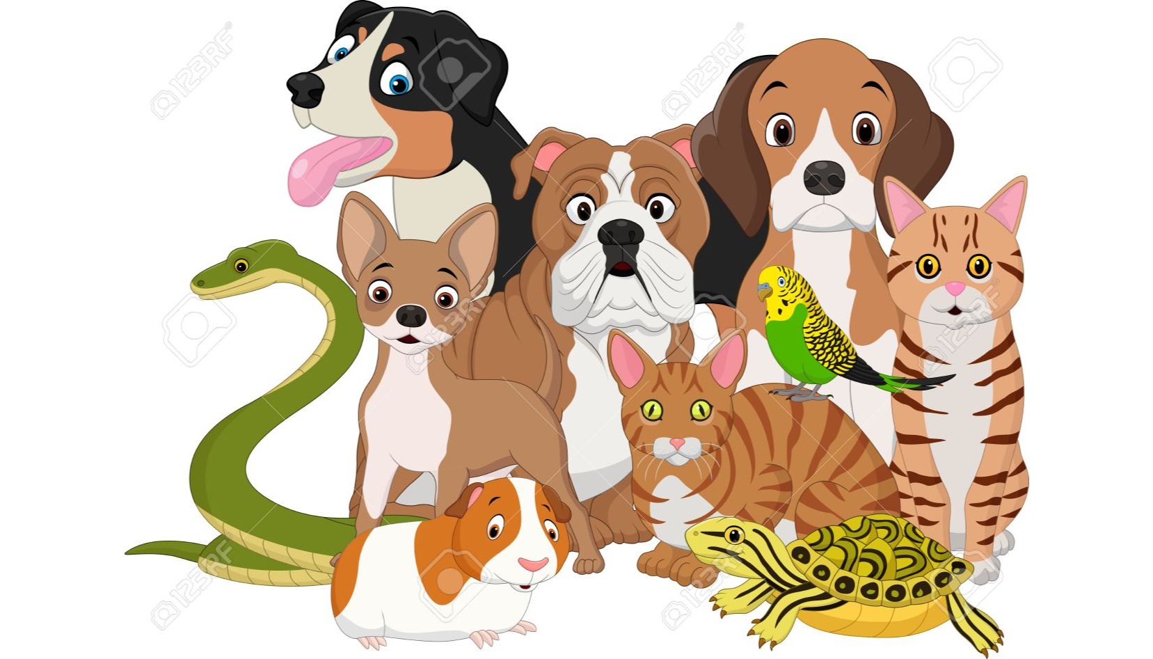 TOMi.digital - Examen Final