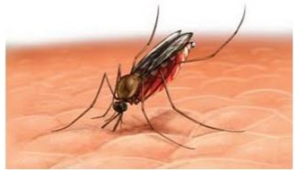 TOMi.digital - RELACIONES INTERESPECÍFICAS PRIMER NIVEL