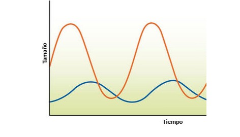TOMi.digital - RELACIONES INTERESPECÍFICAS PRIMER NIVEL