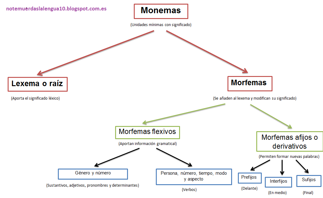 TOMi.digital - Los morfemas