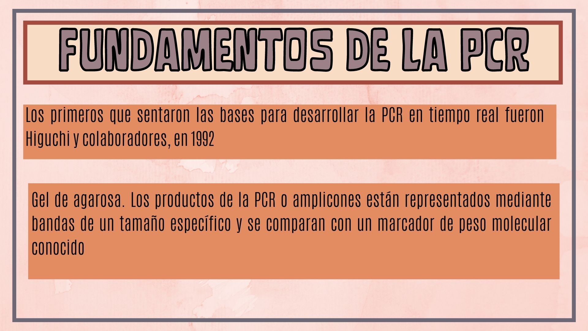 TOMi.digital - Mecanismos del PCR