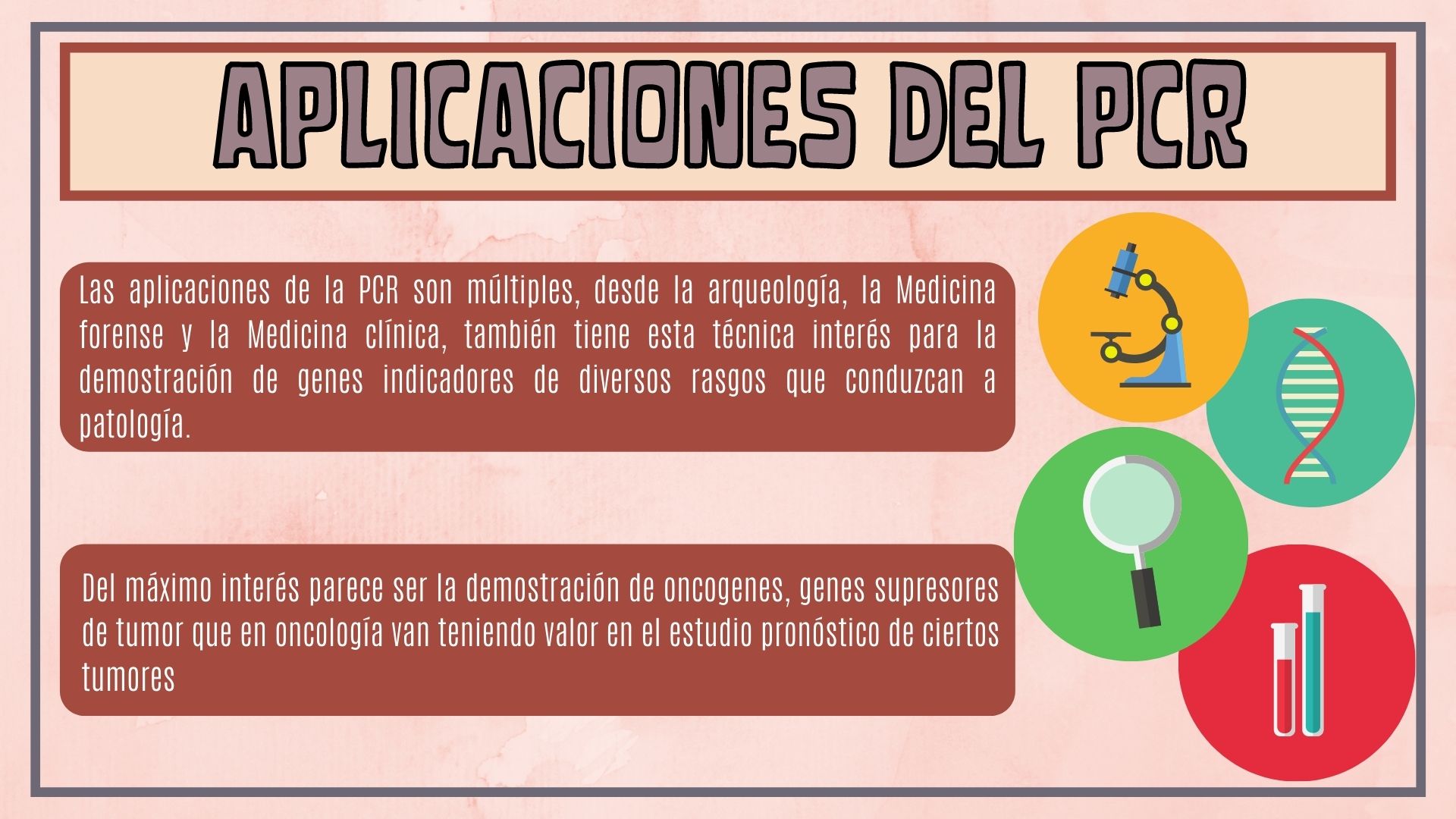 TOMi.digital - Mecanismos del PCR