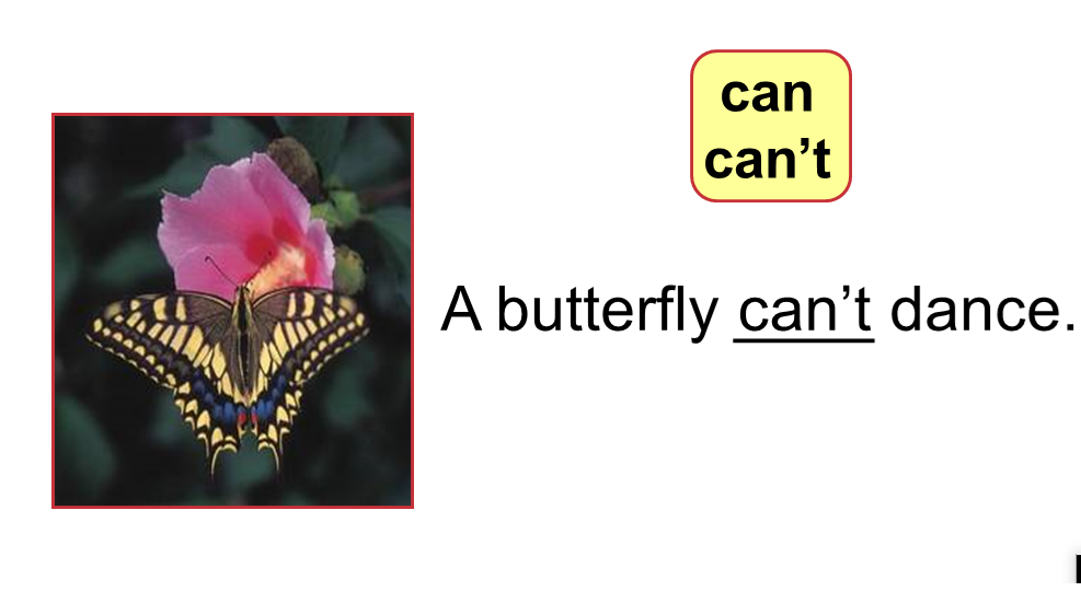 TOMi.digital - What can you do there?