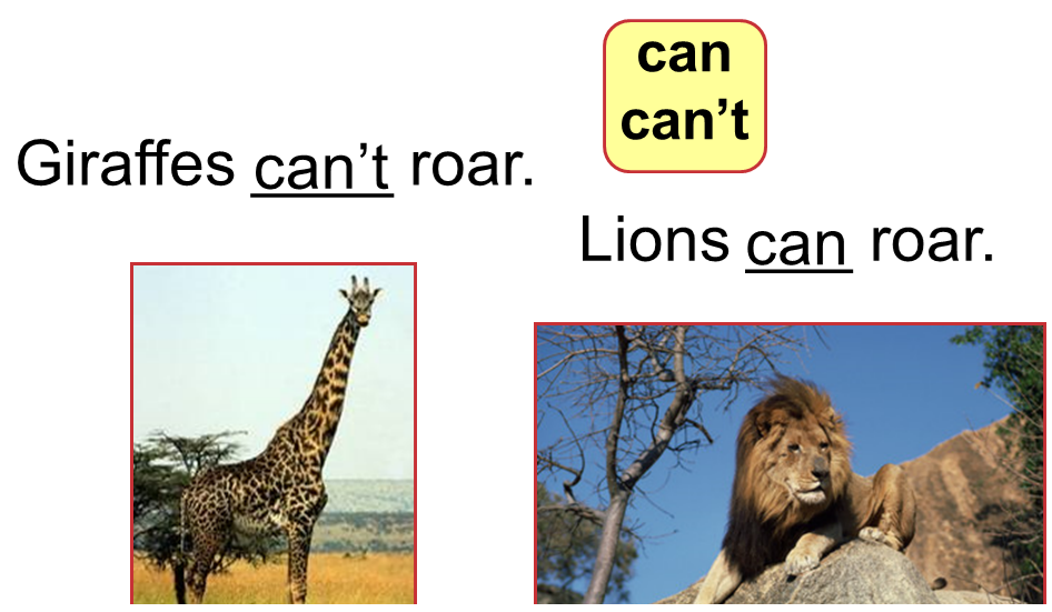 TOMi.digital - What can you do there?