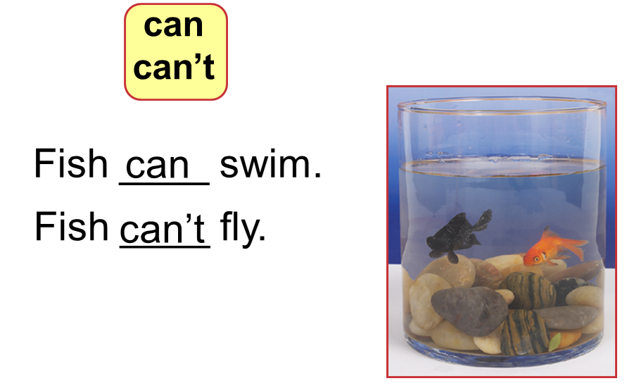 TOMi.digital - What can you do there?