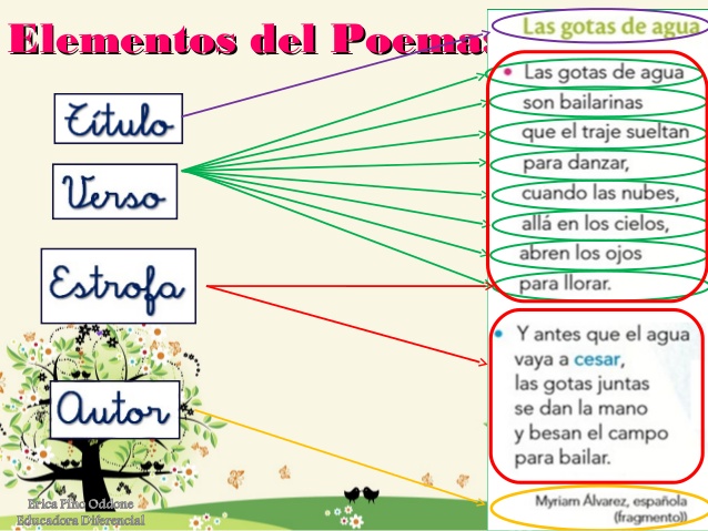 El Poema Y Sus Partes