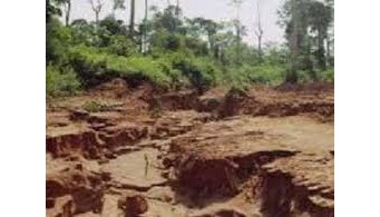 TOMi.digital - Refuerzo Tercero Impactos ambientales por los seres humanos