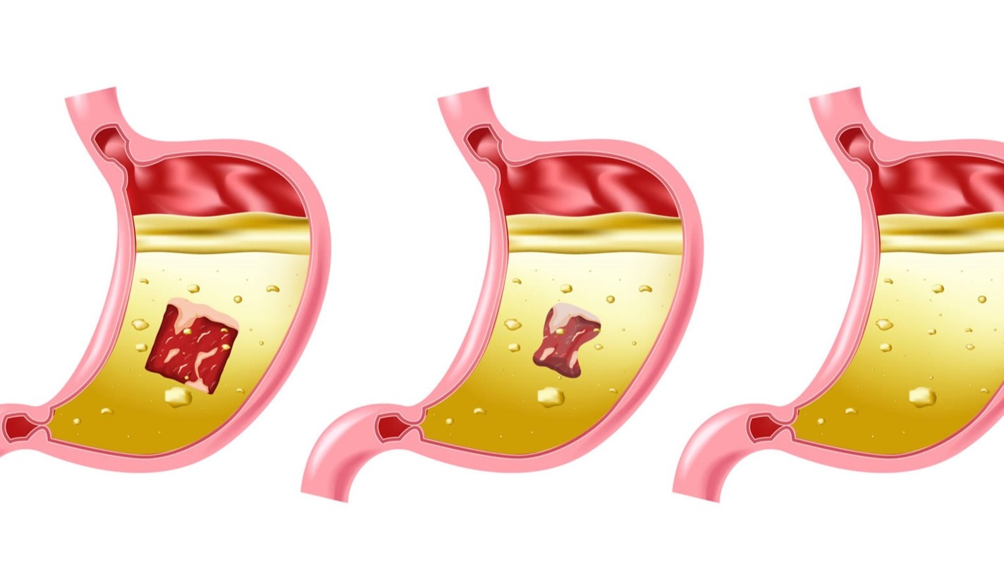 TOMi.digital - UNIDAD 1-CIENCIAS NATURALES 2 -PRUEBA CORTA