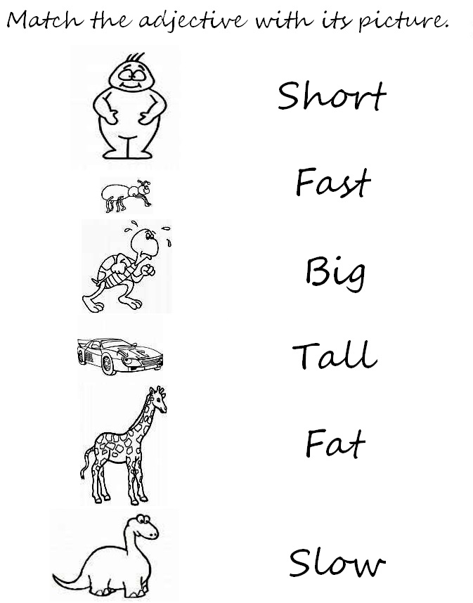 TOMi.digital - English 4to: ANIMALS, ADJECTIVES, VERBS