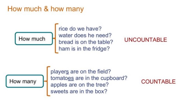 TOMi.digital - English 5to: USE OF "HOW MUCH" , "HOW MANY"