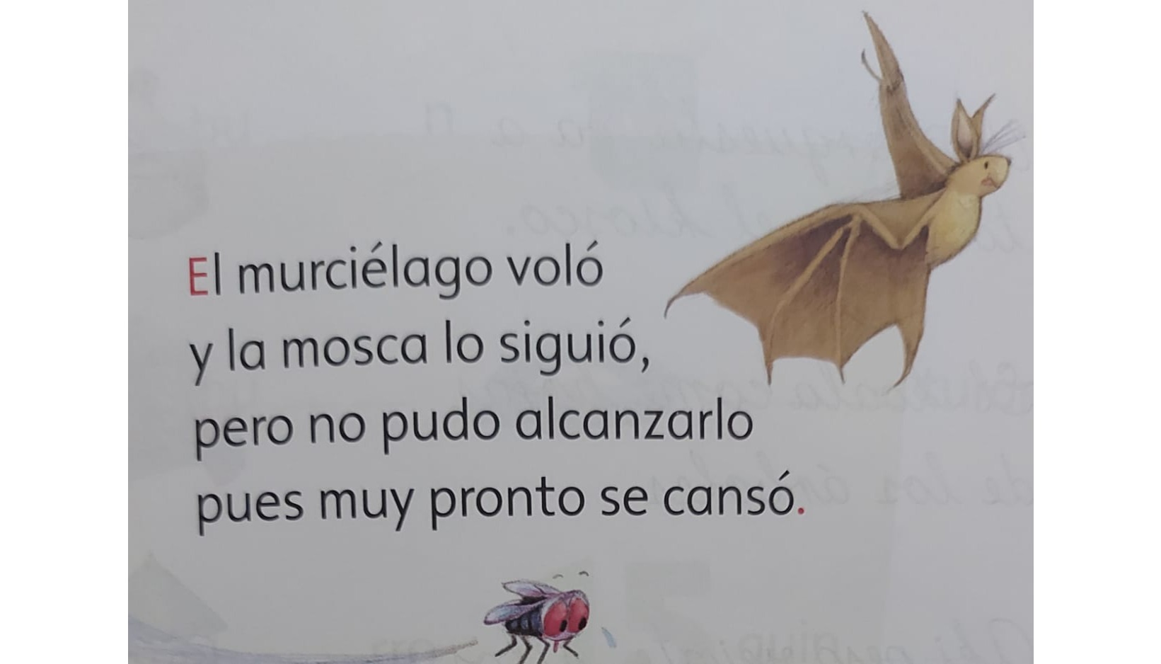 TOMi.digital - Español