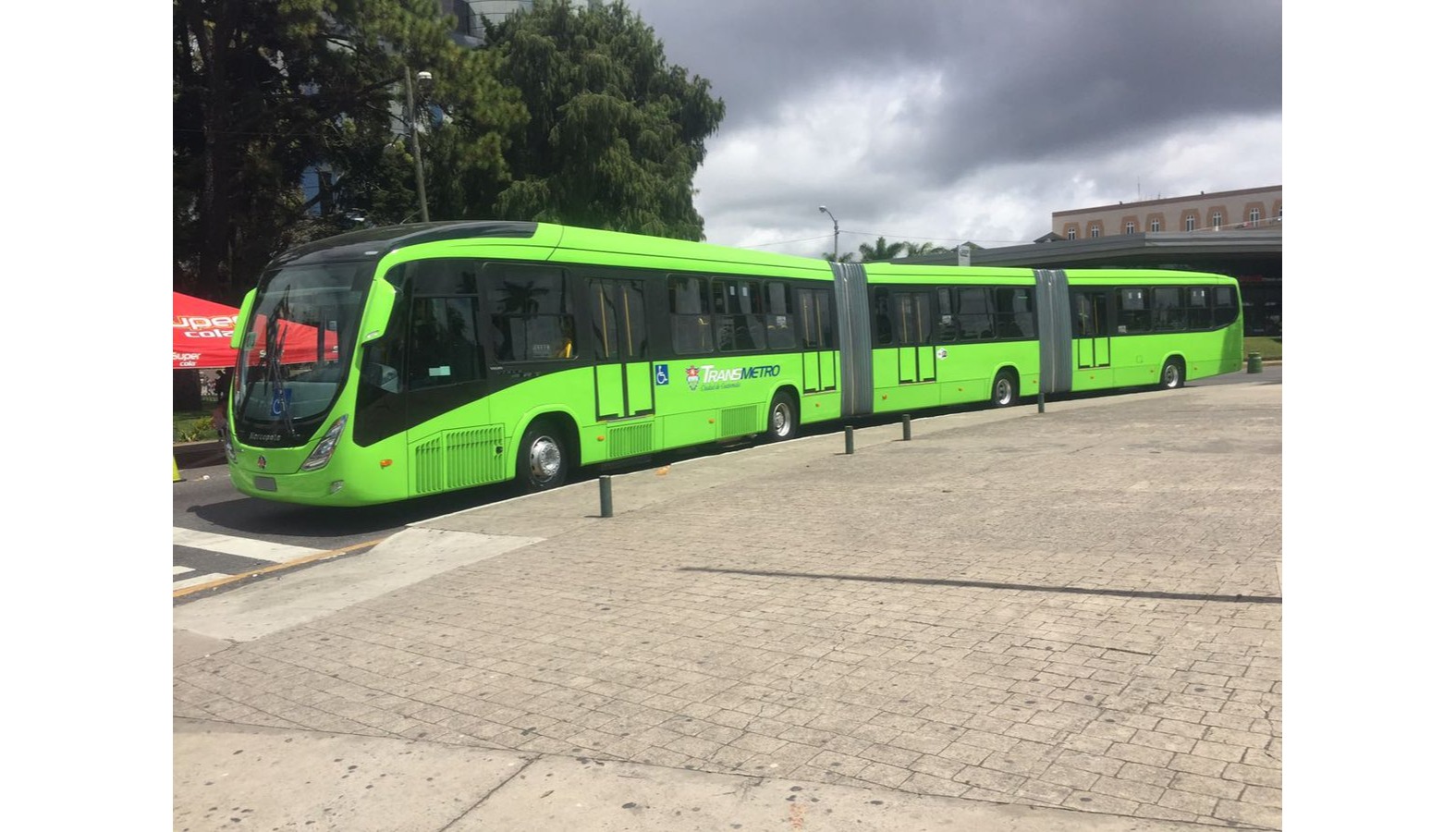 TOMi.digital - Questions with DOES and Irregular verbs