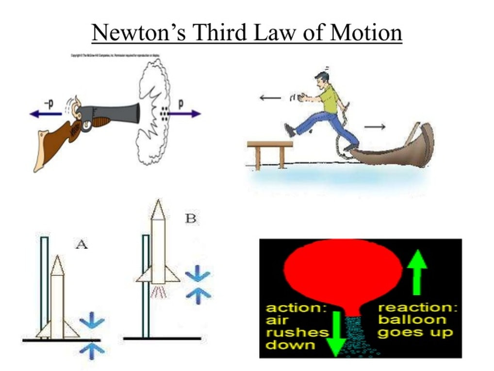 TOMi digital Newton s Third Law TOMi digital Newton s Third Law