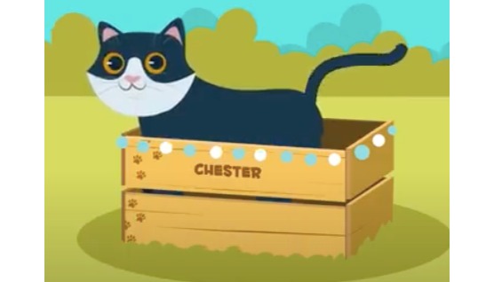 TOMi.digital - COMPETENCIA 1º BÁSICO HISTORIA DIAGNÓSTICO