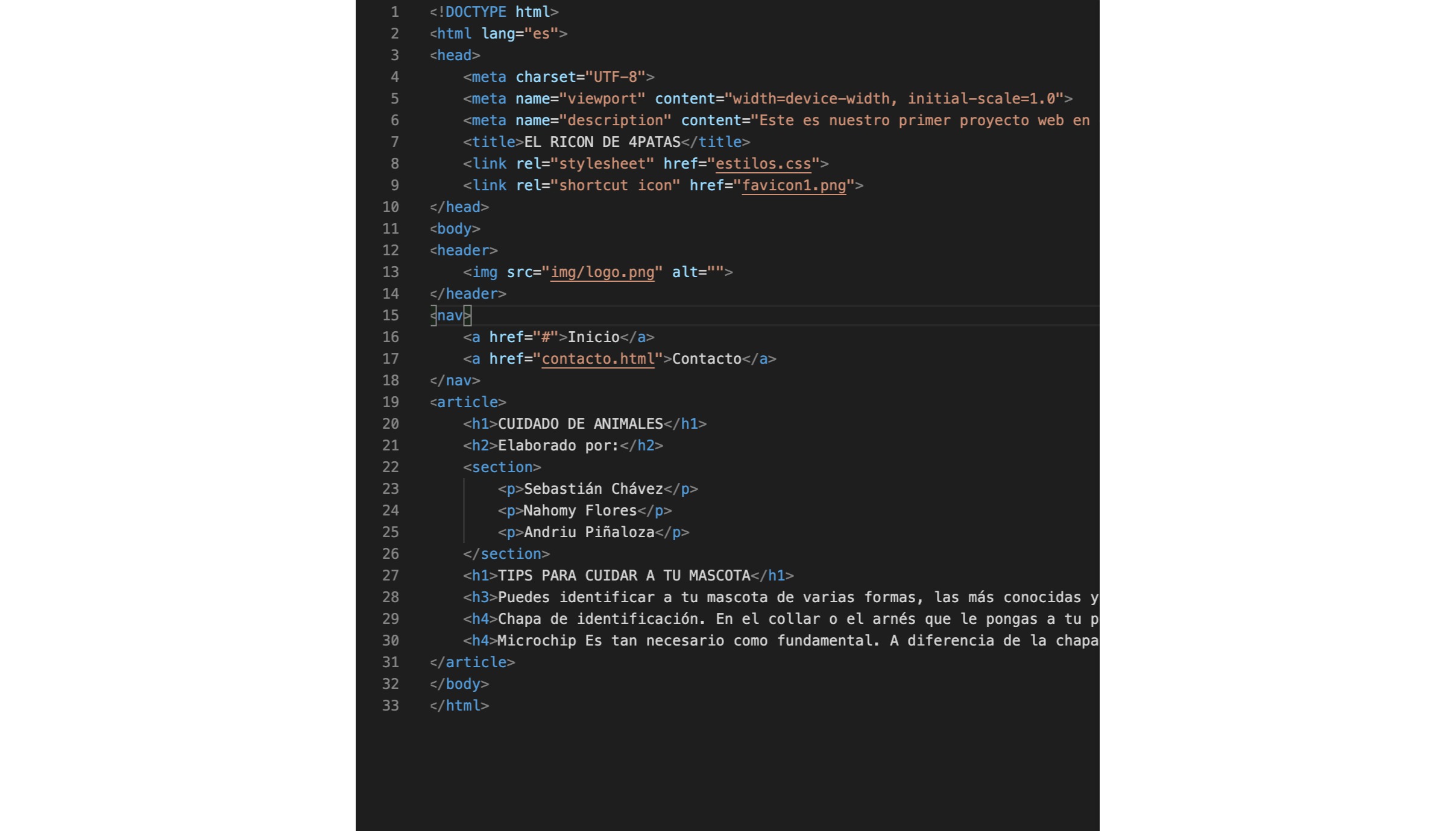 TOMi.digital - Características de un Editor de Código
