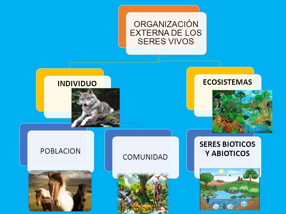 TOMi.digital - ciencias naturales 7