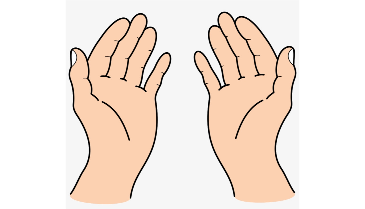 TOMi.digital - IB. Pre-kinder Medio Social y Natural