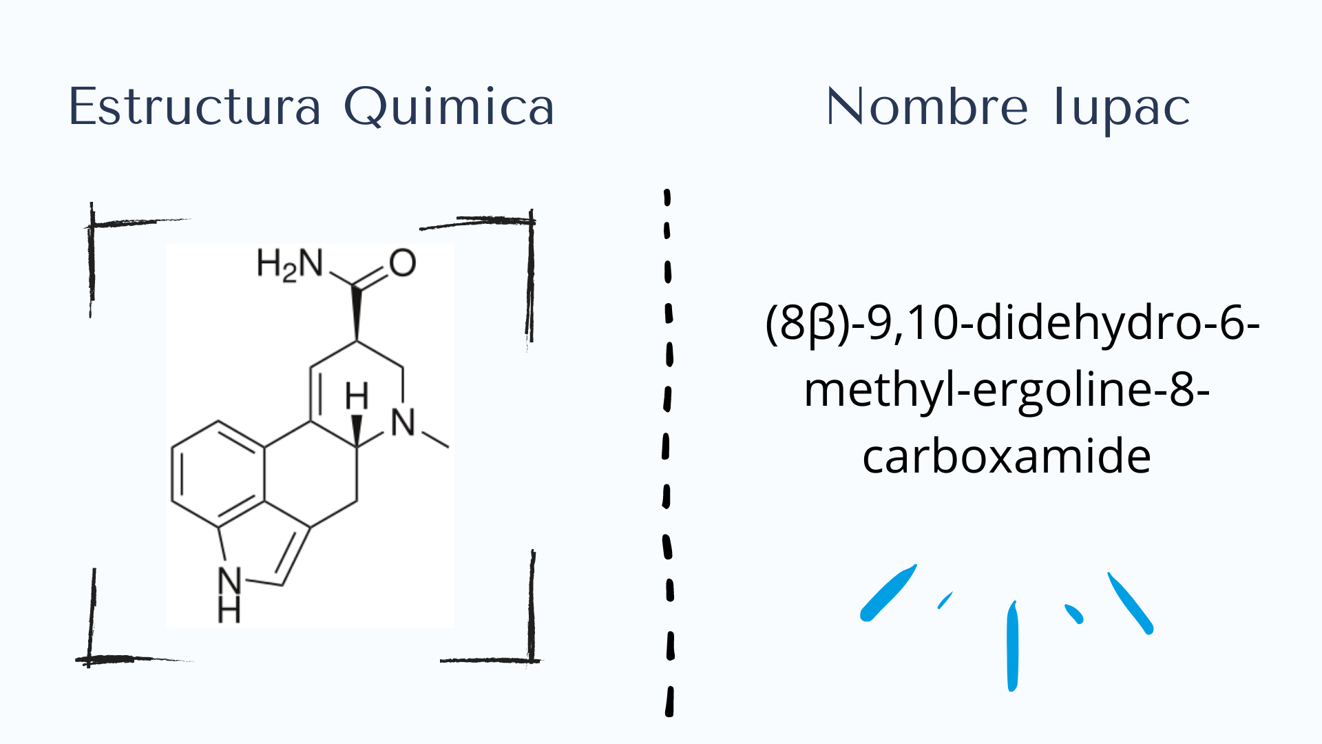 TOMi.digital - Aplicacion de las Amidas
