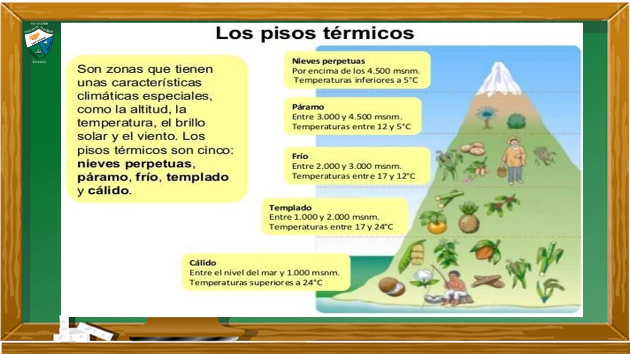 TOMi.digital - Estado del Tiempo y el Clima
