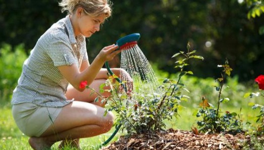 TOMi.digital - CONDITIONALS