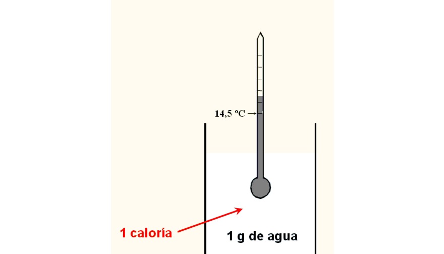 TOMi.digital - CALOR