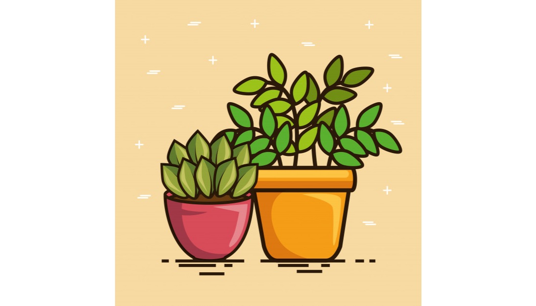 TOMi.digital - Seres vivos y Materia Inerte