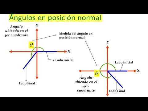 TOMi.digital - Ángulos en posición normal