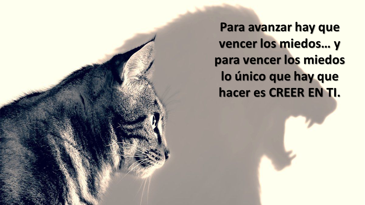 TOMi.digital - SOÑAR 2