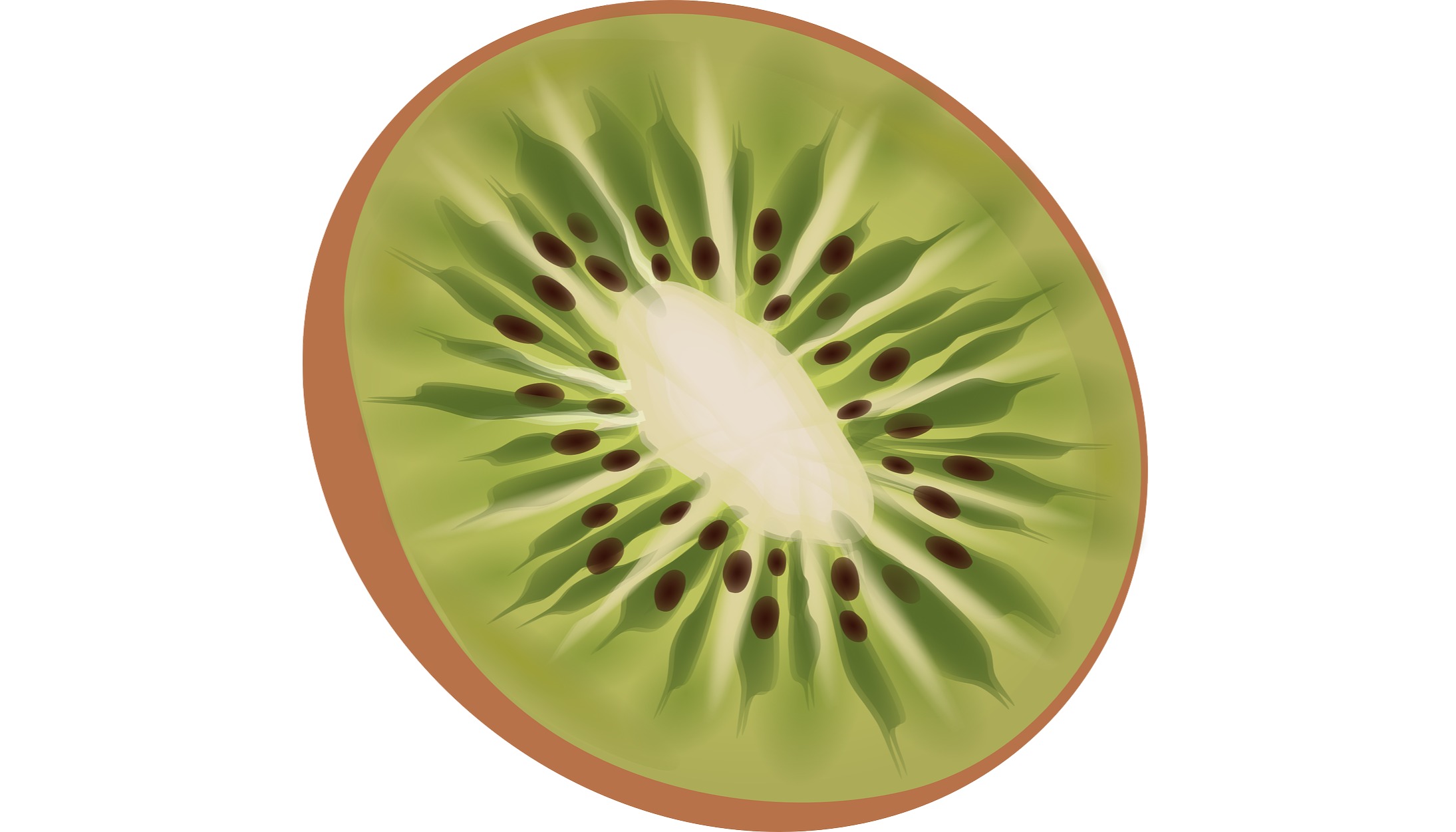 TOMi.digital - Las frutas y verduras en español