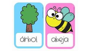 TOMi.digital - EL ABECEDARIO