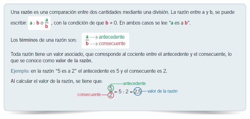 TOMi.digital - RAZONES